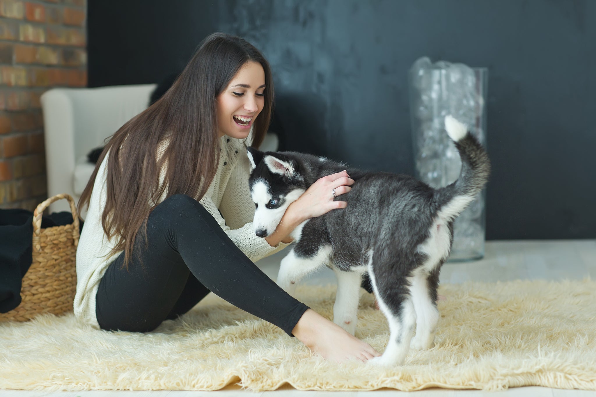 3 Simple Steps for Silky Smooth Fur - Petaxin